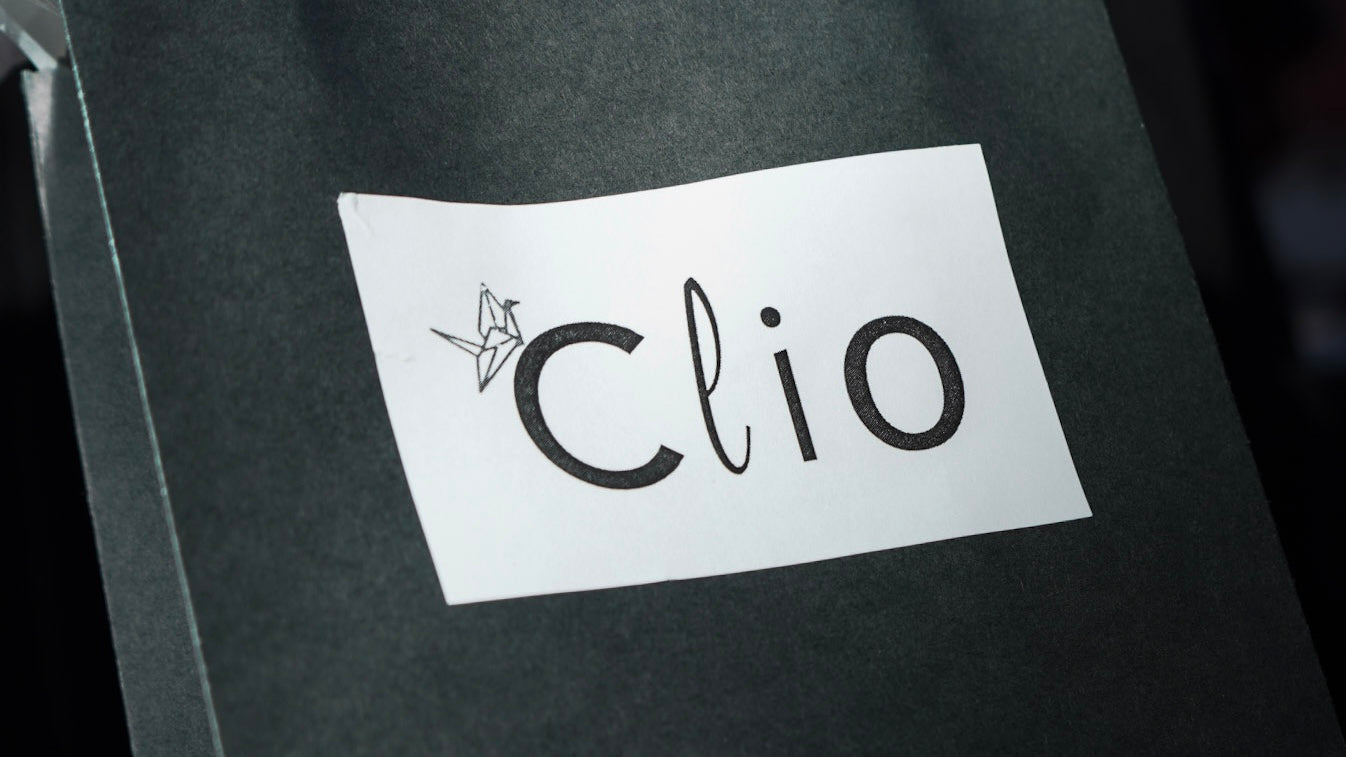 Origami Necklaces – Clio Smith Art